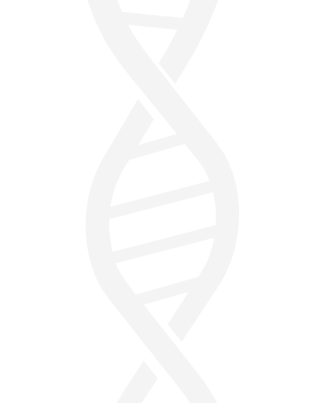 Prostamax 20mg (Bioregulator)