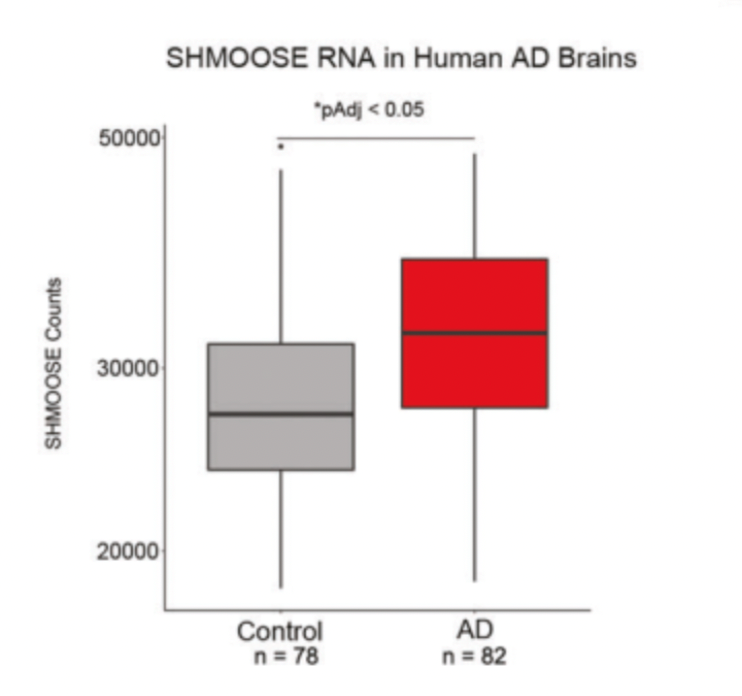 SHMOOSE microprotein