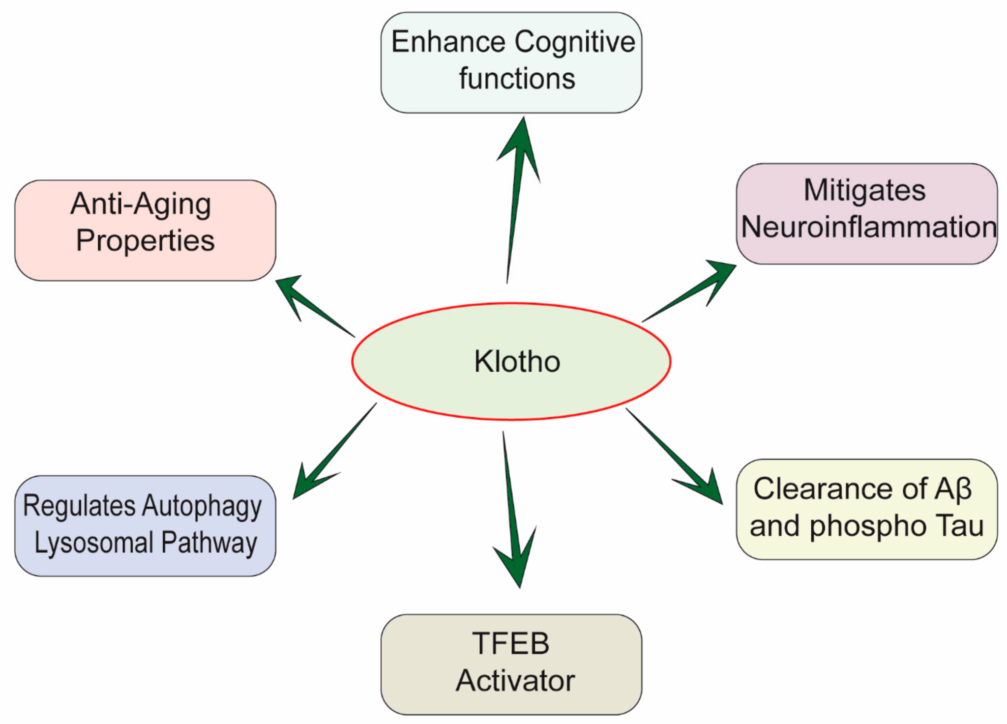 Klotho: Alpha-Klotho and Beta-Klotho