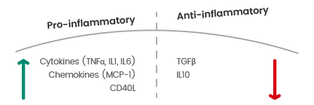 Peptide Research for Arthritis