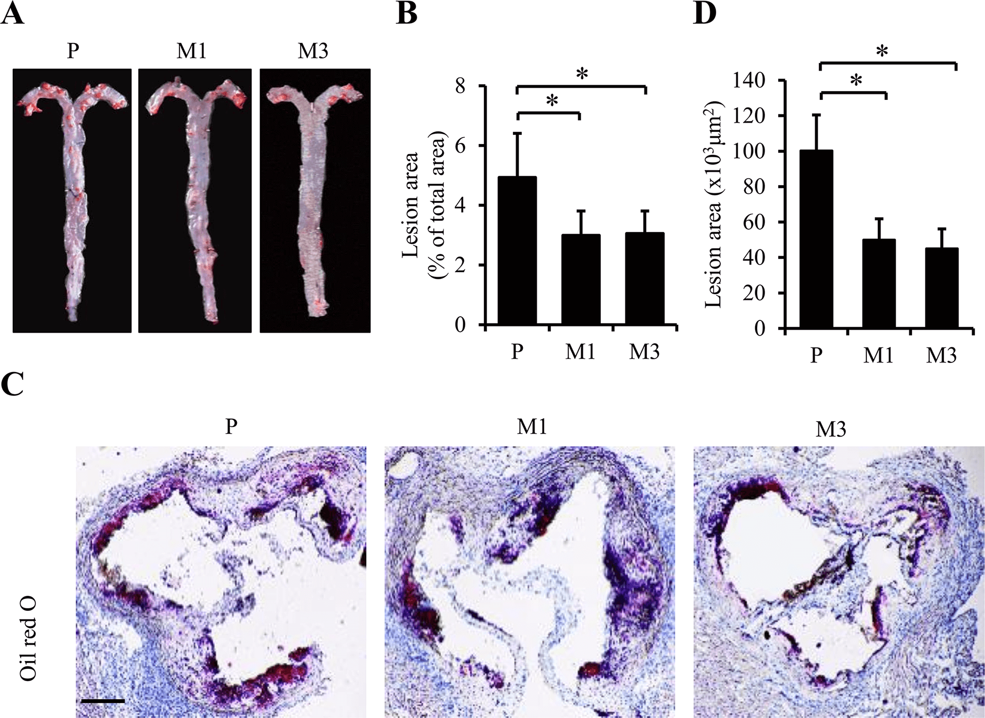 SS-31: What Does It Do?