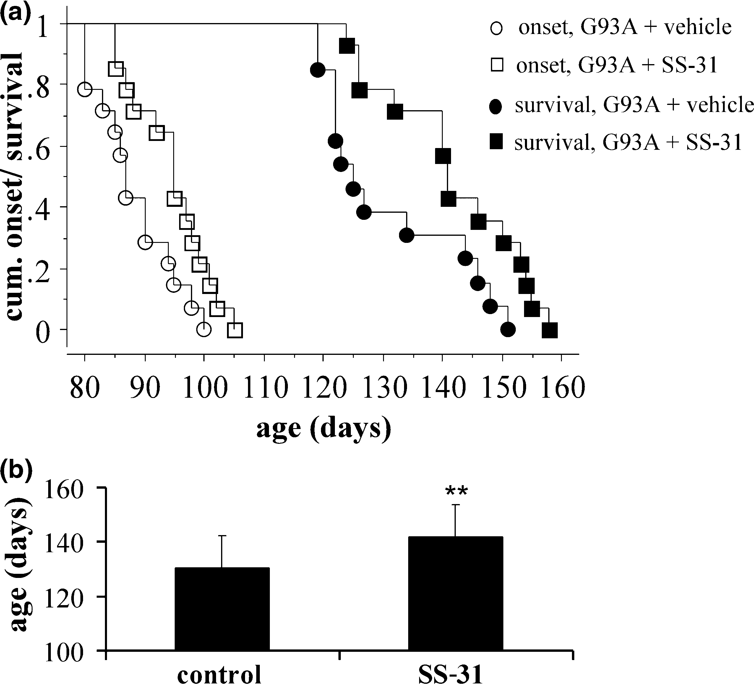 SS-31: What Does It Do?