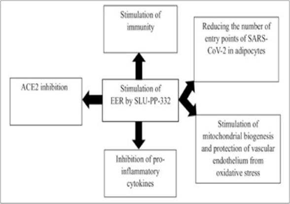 What is SLU-PP-332? How does it Work? – Peptide Custom