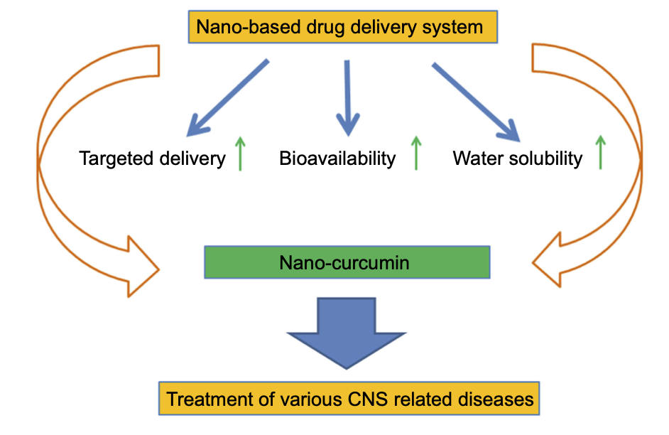 Curcumin-loaded PLGA Nanoparticles Improve Cognition and Neurogenesis ...