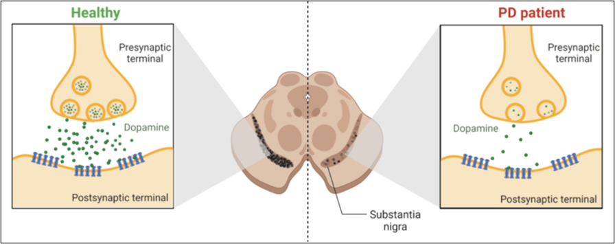 Peptide Sciences Research