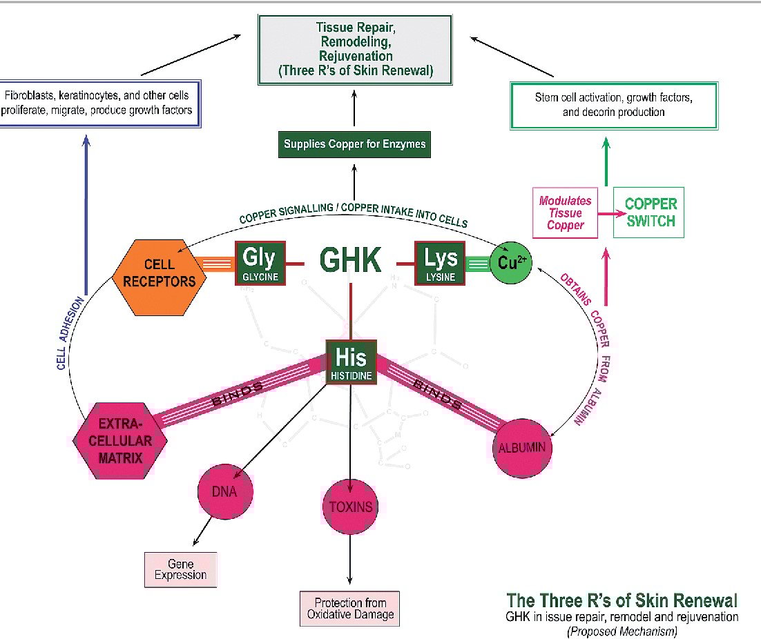 Buy GHK-Cu Capsules (Copper Tripeptide)| 99% Purity Buy GHK-Cu Capsules (Copper Tripeptide)| 99% Purity