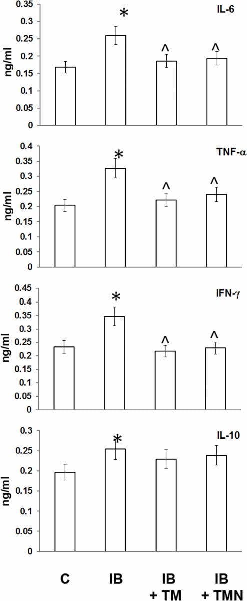 Thymalin the Thymus Peptide: What Is It?